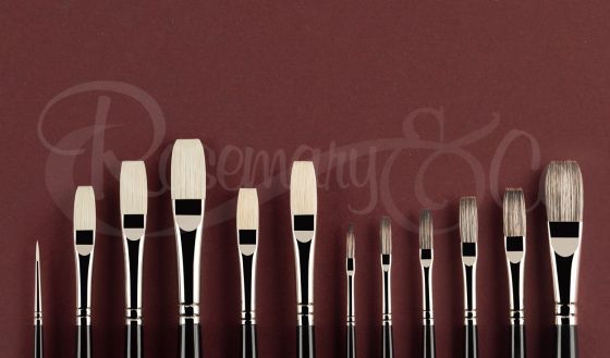 Rosemary & Co - Michelle Dunaway Basic Brush Set – RAYMAR